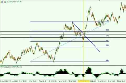 HOW TO MAKE DAILY PROFIT IN VOLATILITY 75 INDEX - ForexBrainBox