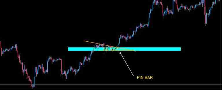 PIN BAR TRADING STRATEGY - ForexBrainBox